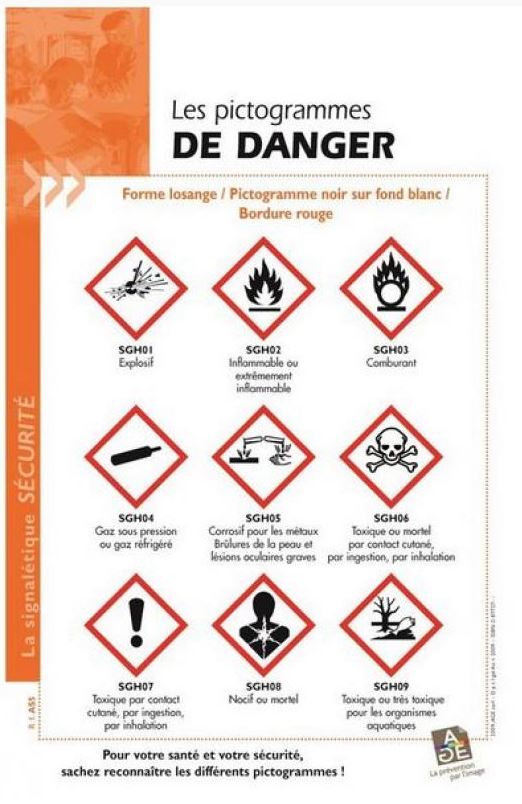 Affiche 400 x 600 mm pictogrammes de danger | Sonodis